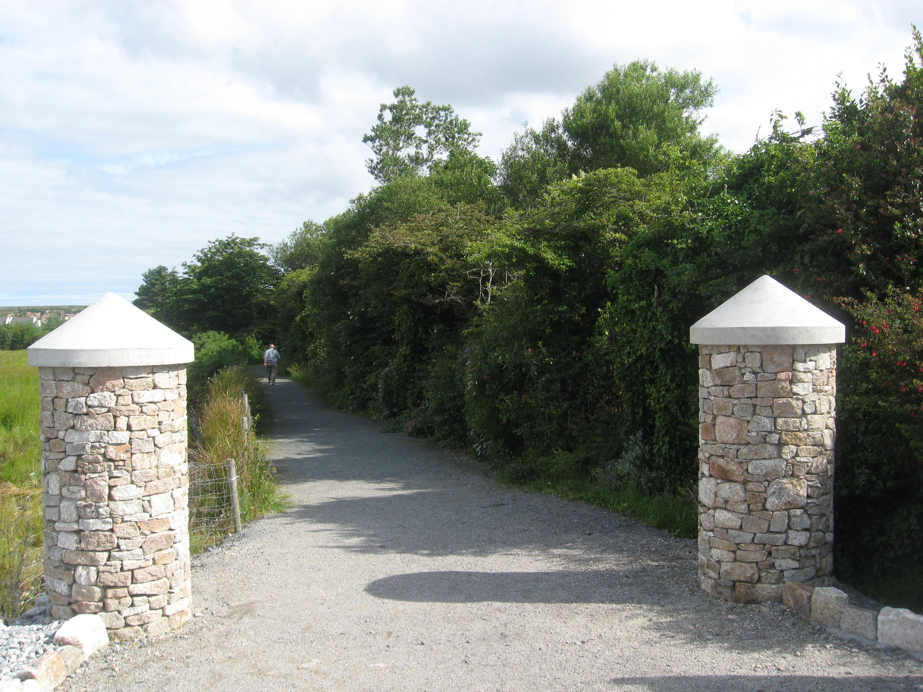 The Wild Atlantic Way – The River Walk Dungloe – Watching the Daisies