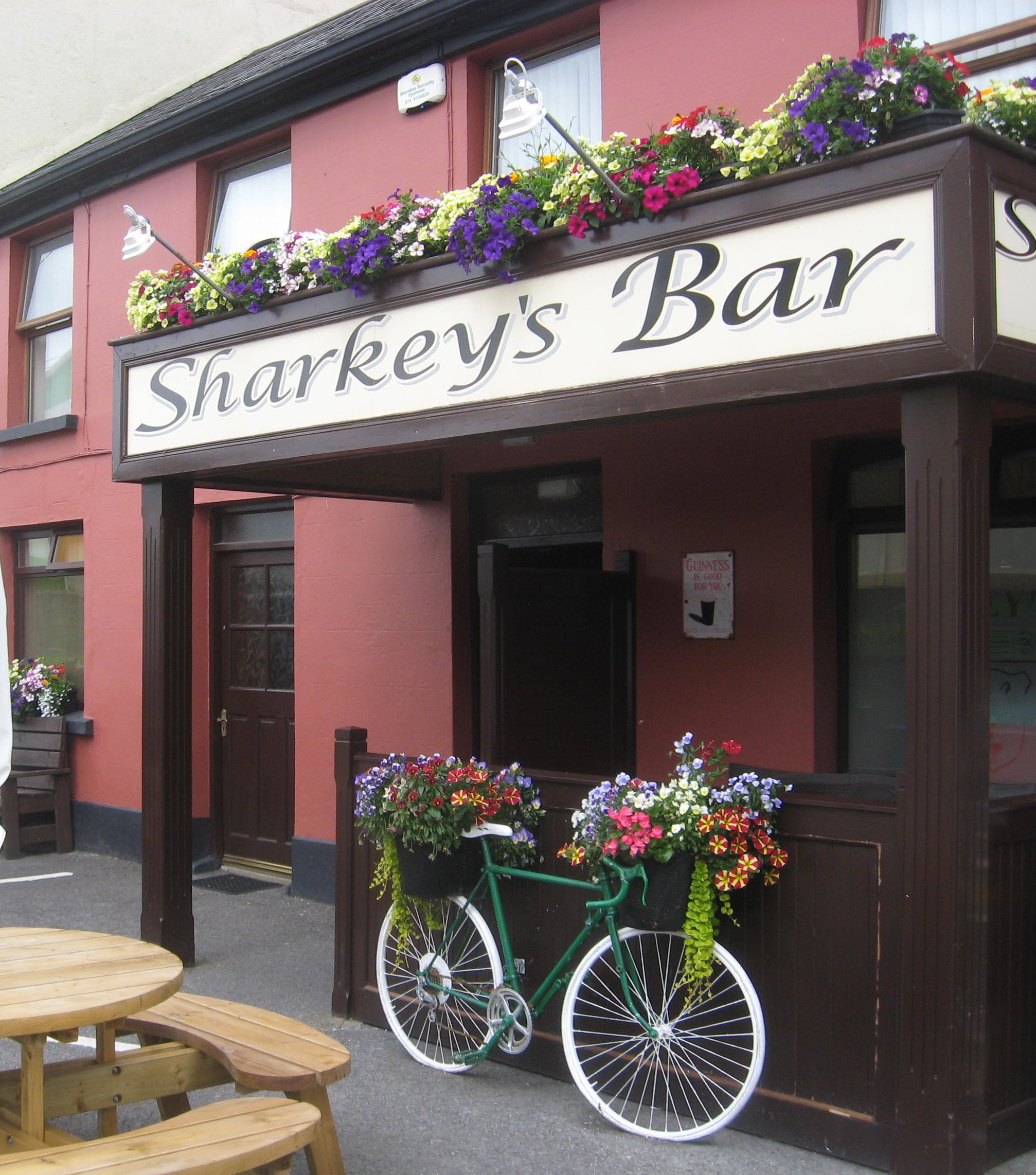 Annagry Village – Flowers in Bloom – Watching the Daisies