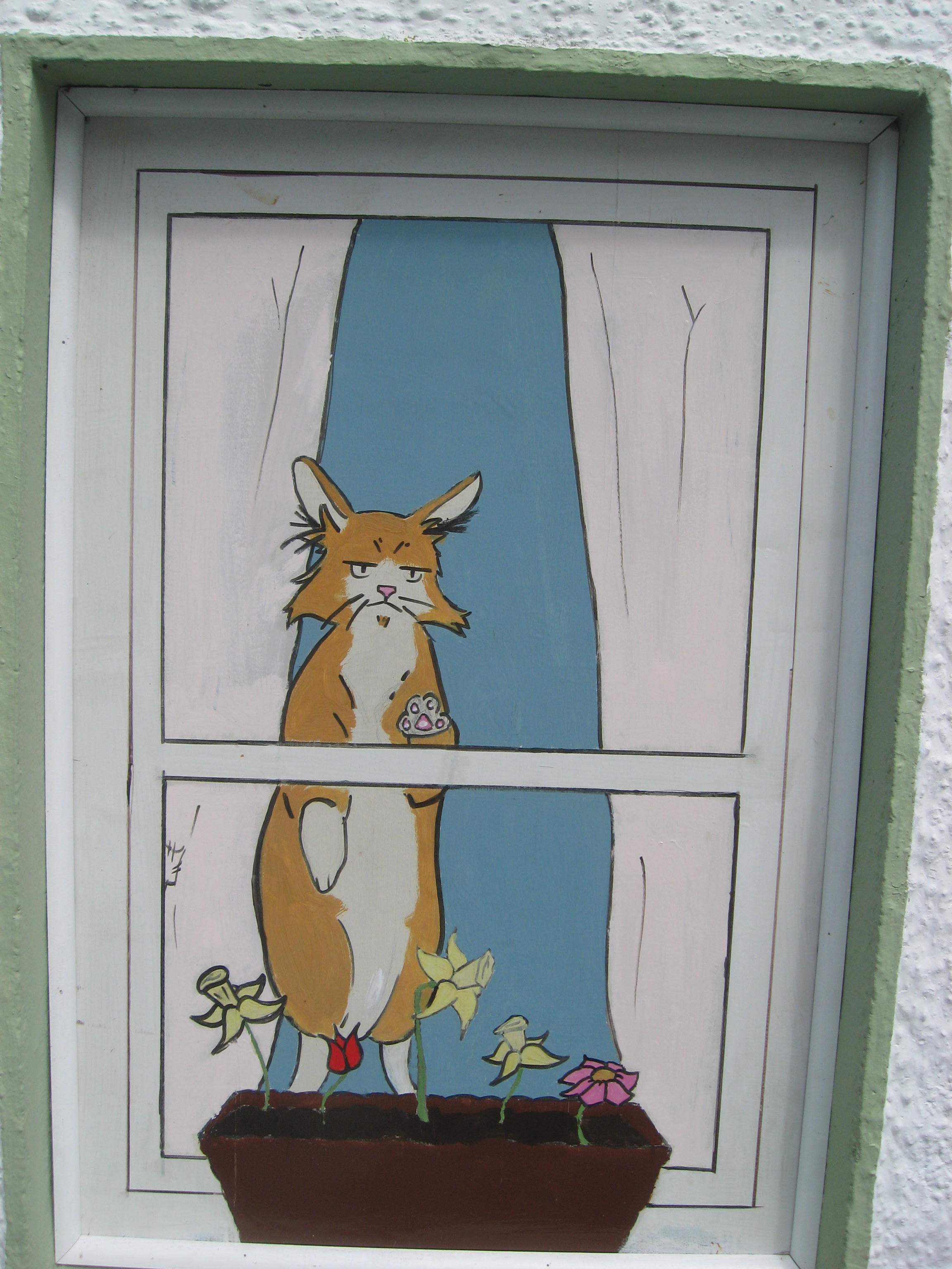 Annagry Village – Flowers in Bloom – Watching the Daisies