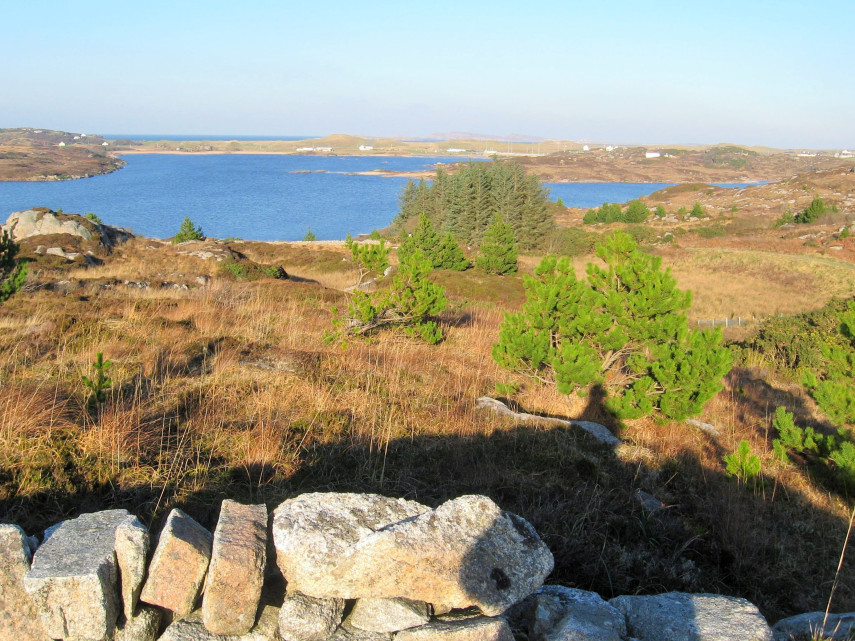 Donegal – A Place Called Home – Watching the Daisies